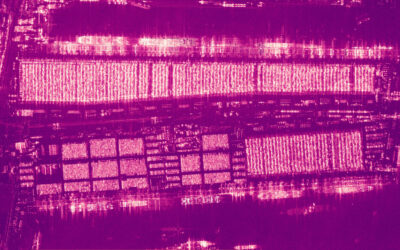 SAR Intelligence as a Service - boxMica